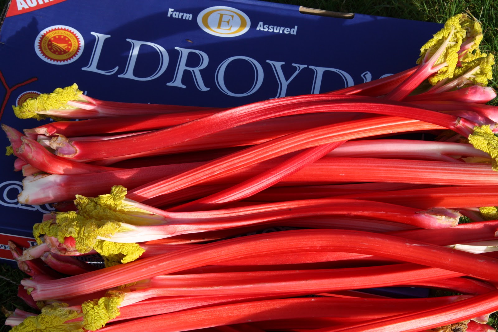 TasteBuds: Rhubarb really recommended