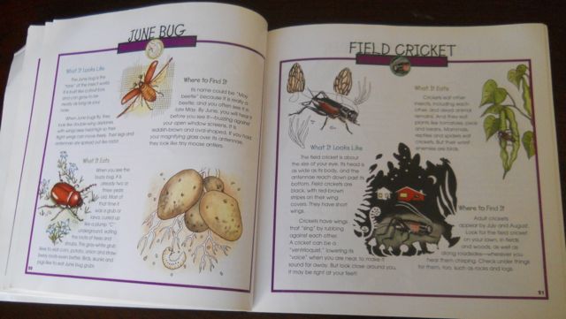 Blue Sky, Big Dreams: Books Gone Buggy