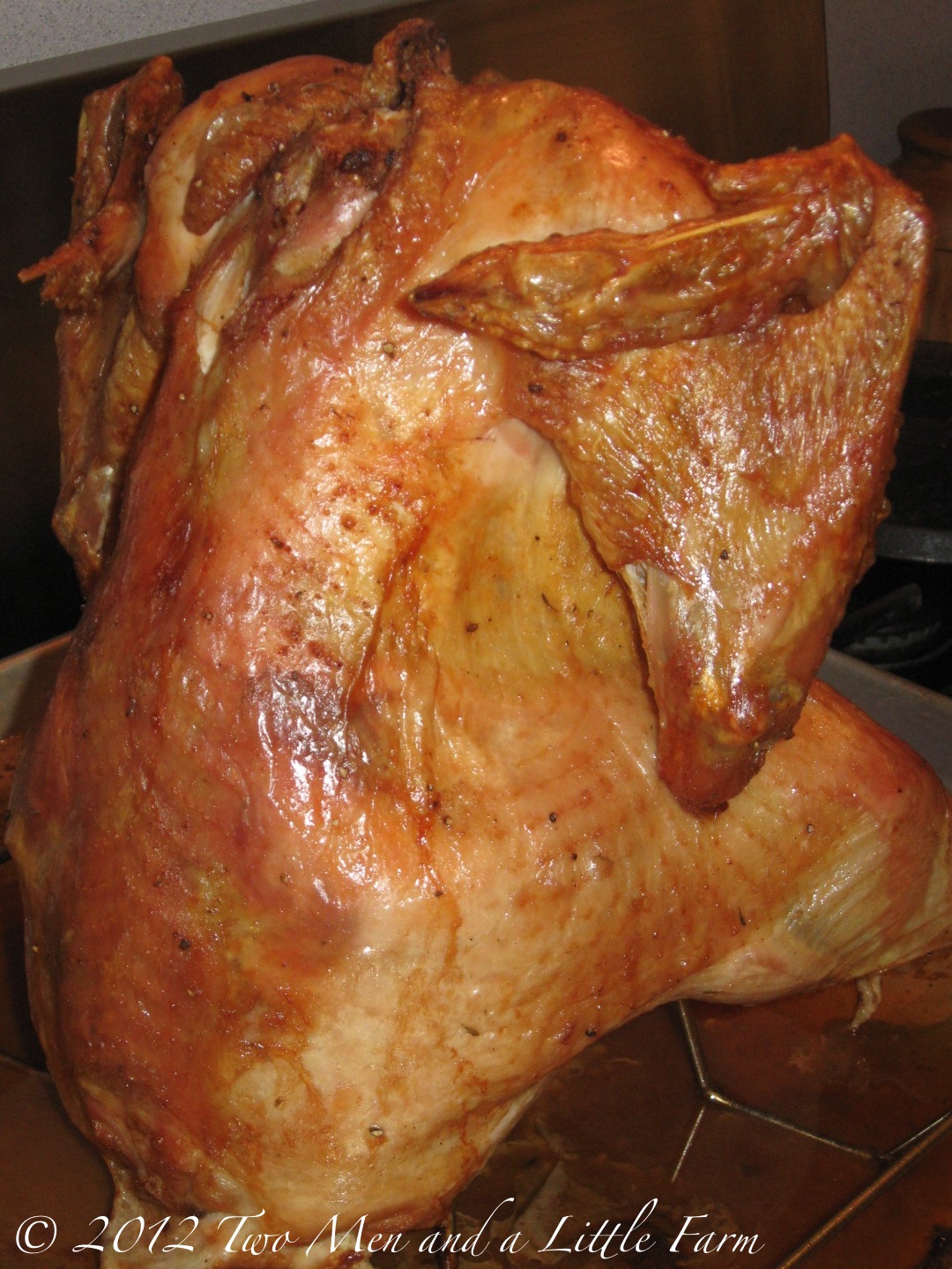Two Men and a Little Farm: VERTICALLY ROASTED TURKEY