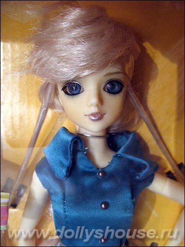 Diane's Dolls & Kitties: J-Doll Review