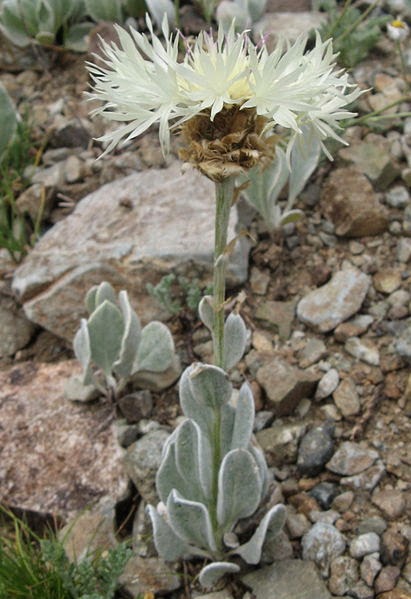 Variety of Life: October 2014