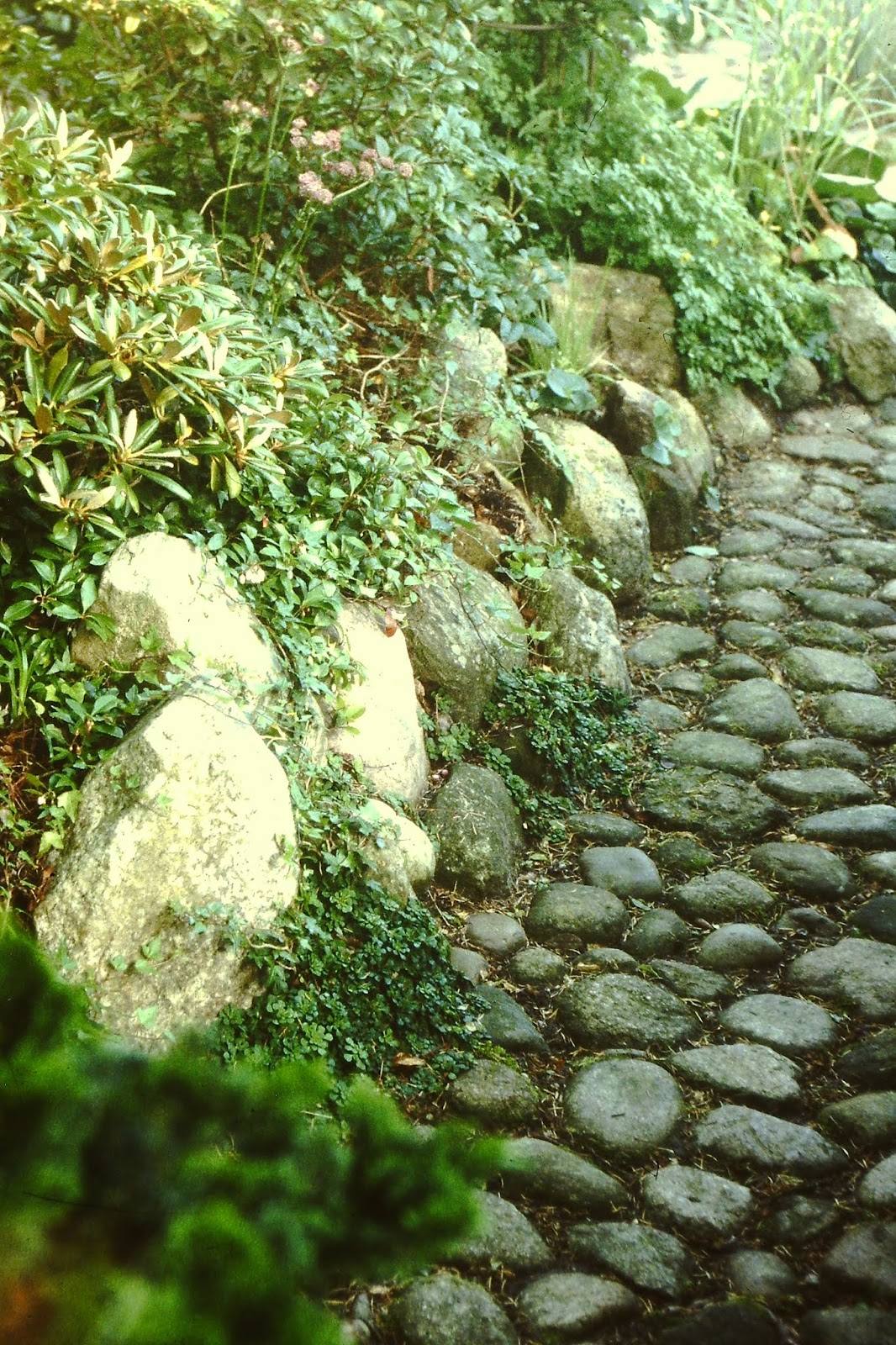 HAVETID: Havens sten og planter.