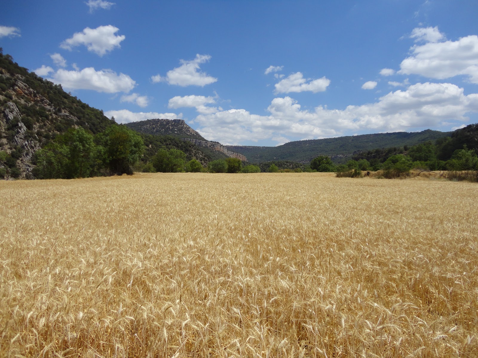 LA PRESA Y EL MANANTIAL DEL CAMPILLO (-AT-)
