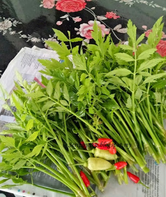 My Kuali: Kerabu daun selom