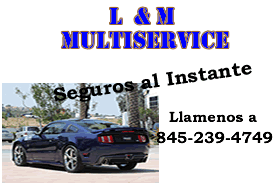 Seguros ~ LM MULTISERVICES LLC
