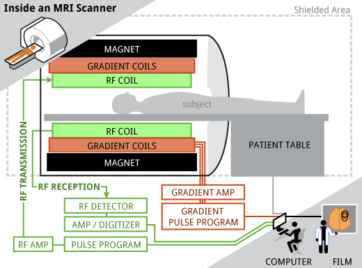 World of Radiology