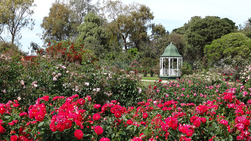 NixPixMix: STATE ROSE GARDEN, VICTORIA
