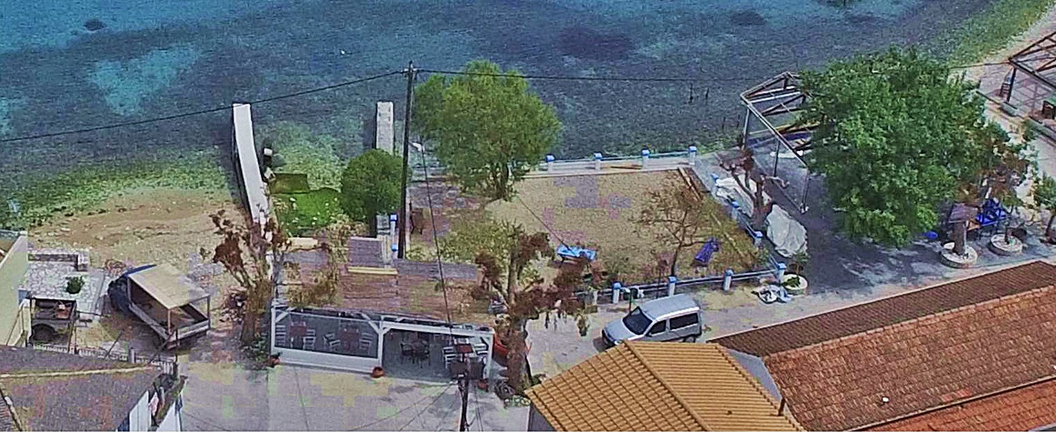 ΘΙΑΚΕΣ ΑΝΑΜΟΧΛΕΥΣΕΙΣ: Η ΠΑΙΔΙΚΗ ΧΑΡΑ ΤΩΝ ΦΡΙΚΩΝ
