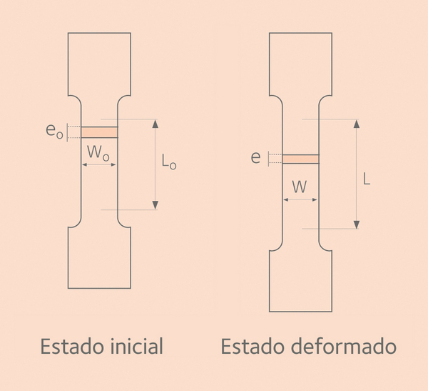 plastico y caucho alberto: Resumen Tipos de Ensayos -ACON