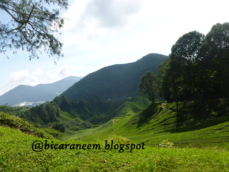 Mendaki puncak tertinggi@Cameron Highlands - Inilah Ceritaku