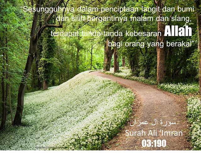 biniku mualaf: Poster Islamik Surah Ali Imran ayat 190