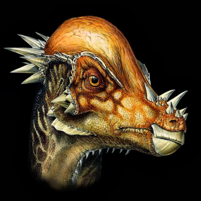 Animales prehistóricos: PACHYCEPHALOSAURUS.