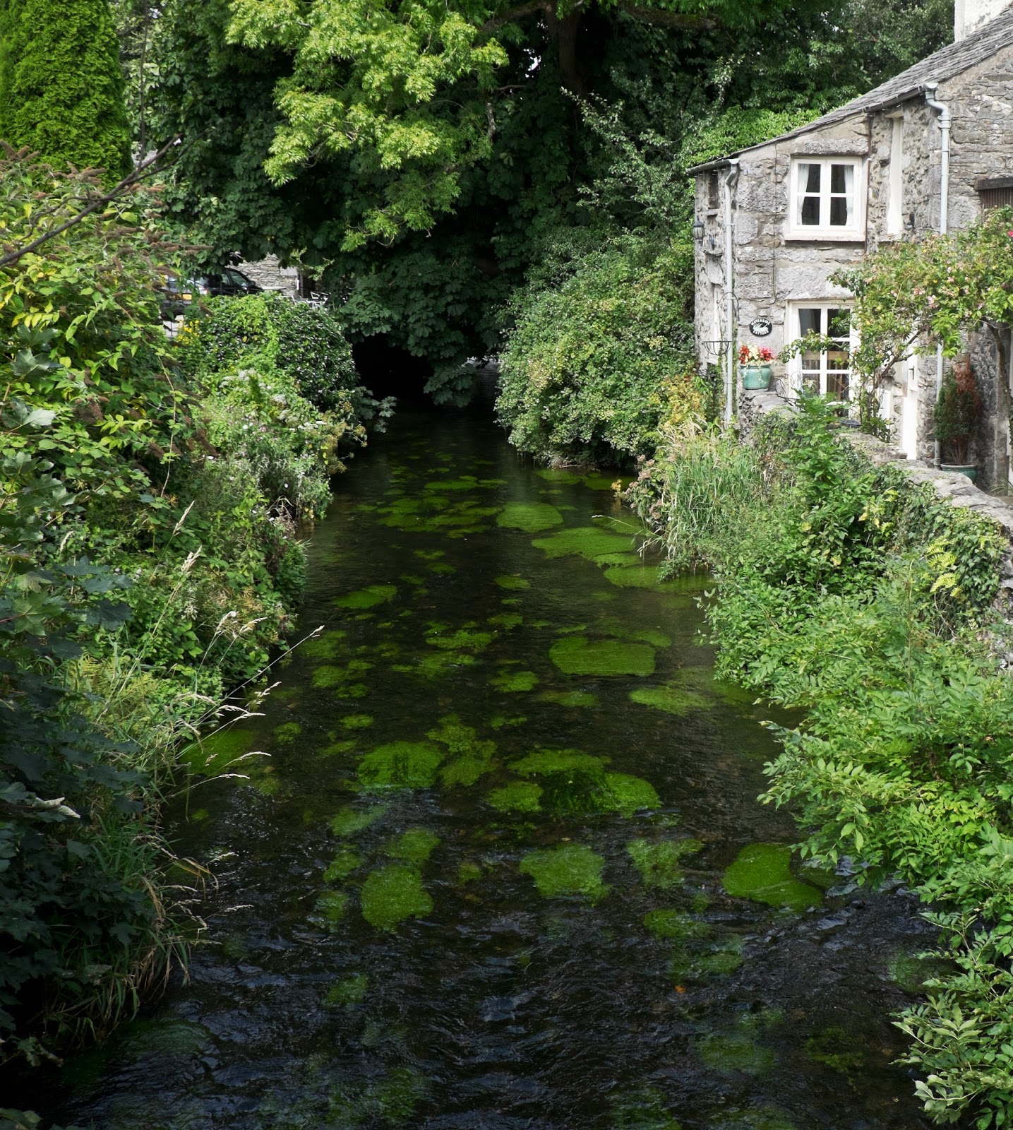 Wigtwizzle - Norman Smith's Travel Blog.: Cartmel