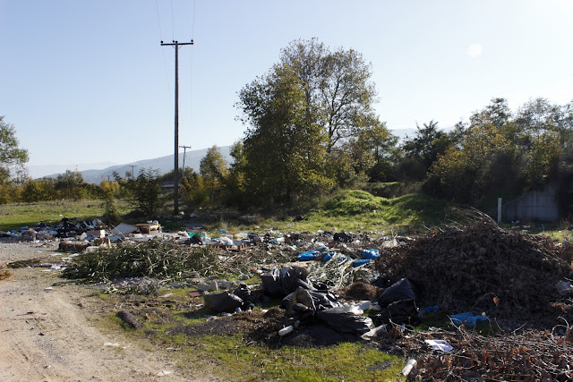 αλεπού του Ολύμπου: Λεπτοκαρυά...Η Άλλη Όψη, η άσχημη...