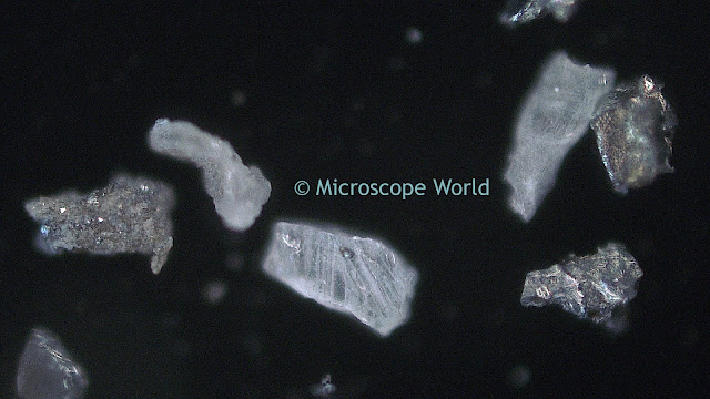 Microscope World Blog: July 2015