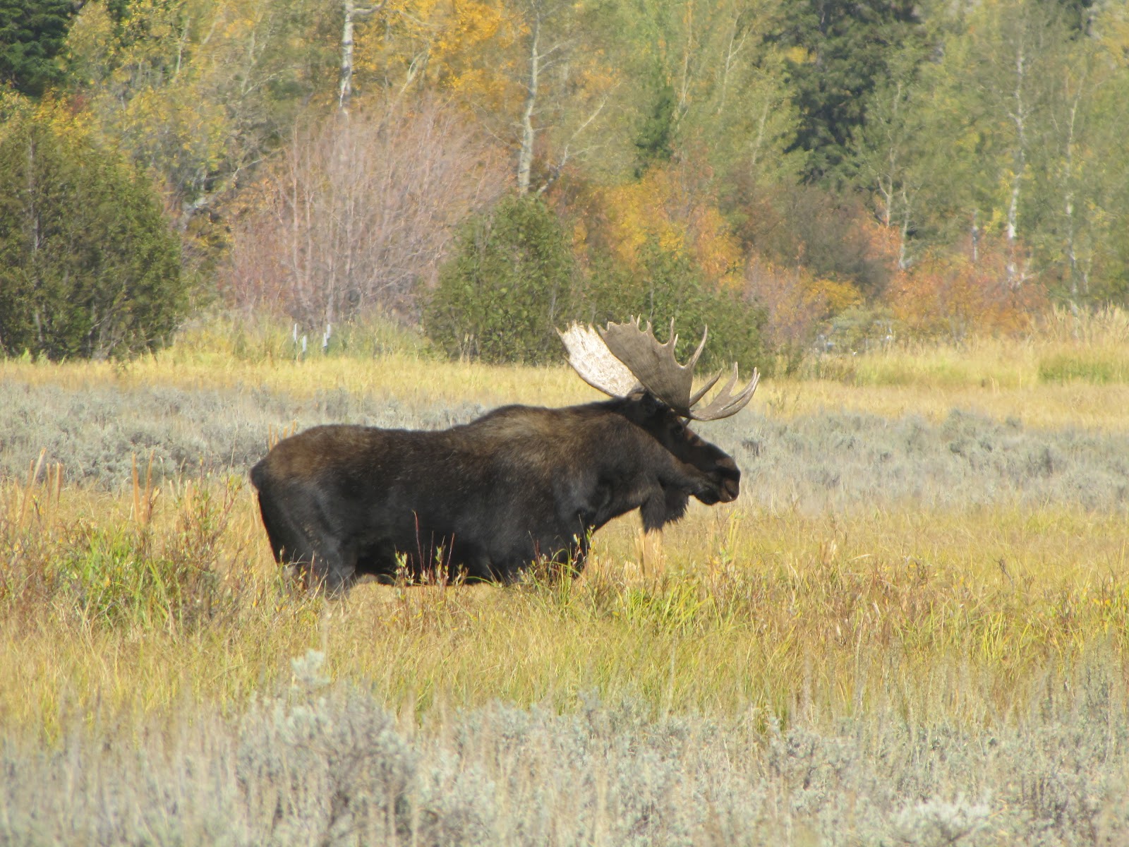 To Behold the Beauty: 10/1/12 - 11/1/12