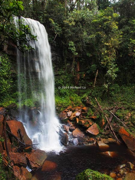 The rainforests of Borneo & Southeast Asia: Adventure at Maligan ...