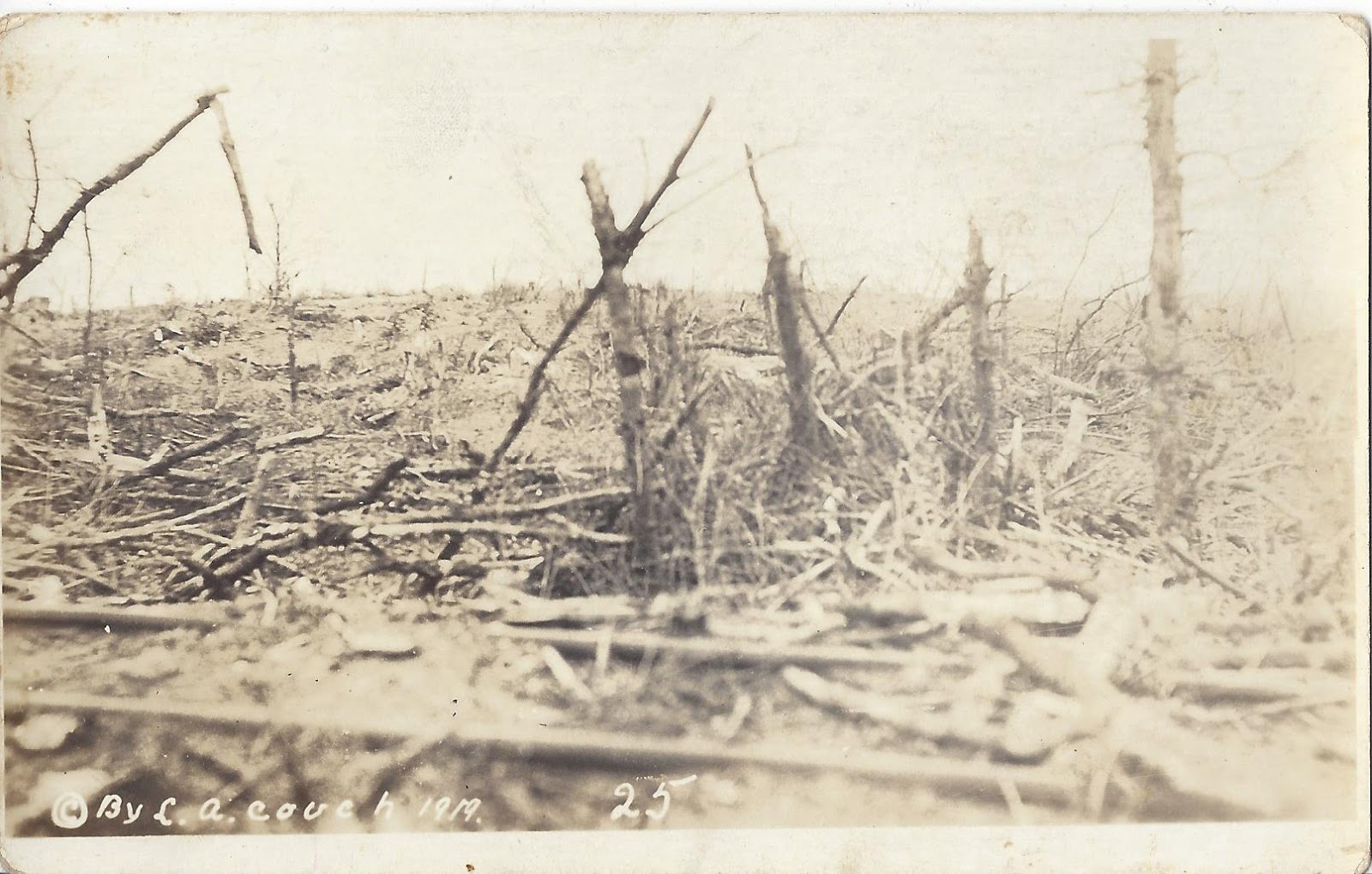 Prairie Trails Museum: Wayne County Boys in World War I