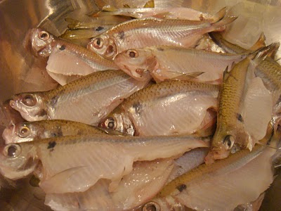 A Arte da Pesca: Lambari Frito