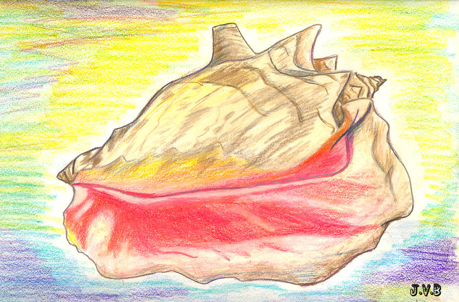 Abi Aravindan - Piggy - Lord of the Flies