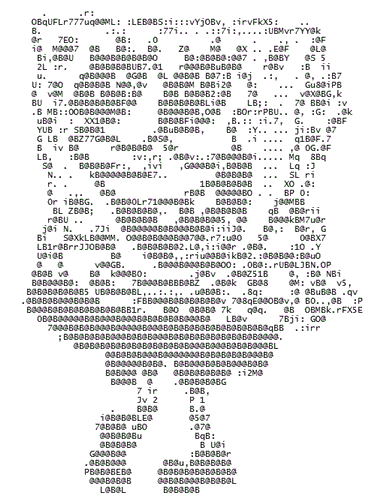 D7G5: Segundo trimestre