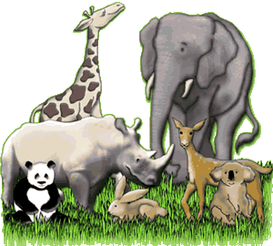 Forest Animals: Forest Animals Herbivores