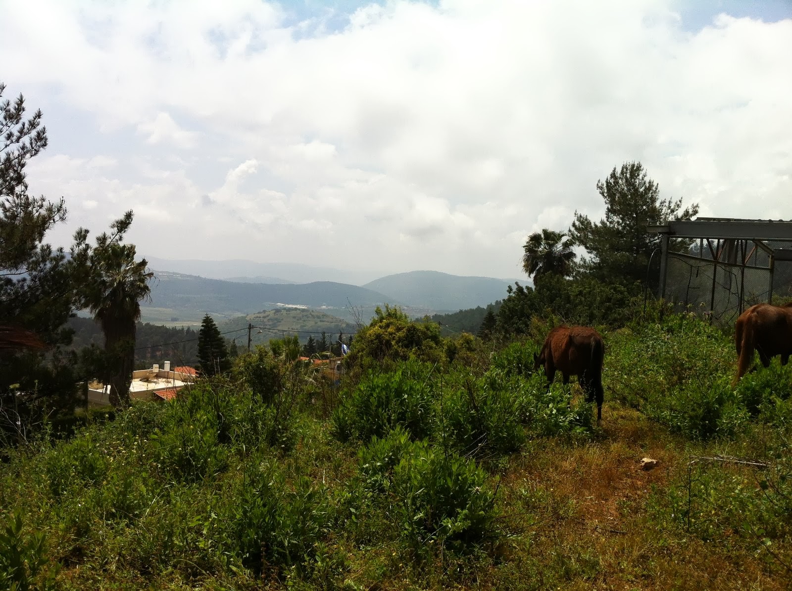 Israel Farms for sale: Beutifull farm in the galil