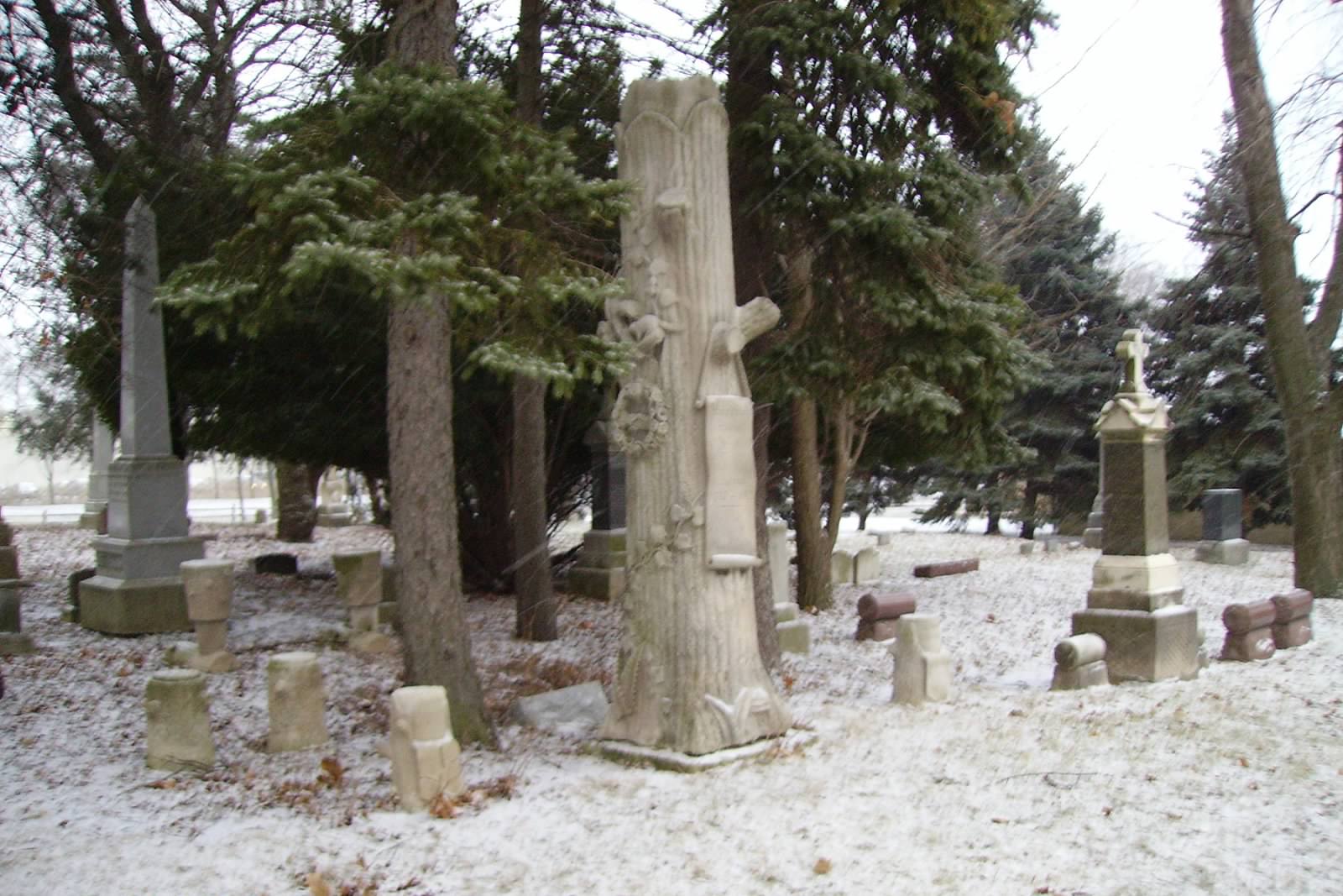 Churchville Cemetery Association: Exploring Tombstones: Tree Stump ...