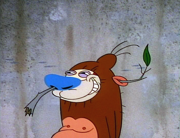 "Monkey See, Monkey Don't" Screen Captures - One image template