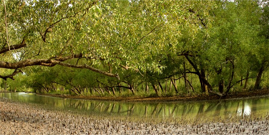 Rasoi Tours & Travels: Explore the natural facts of World’s largest ...