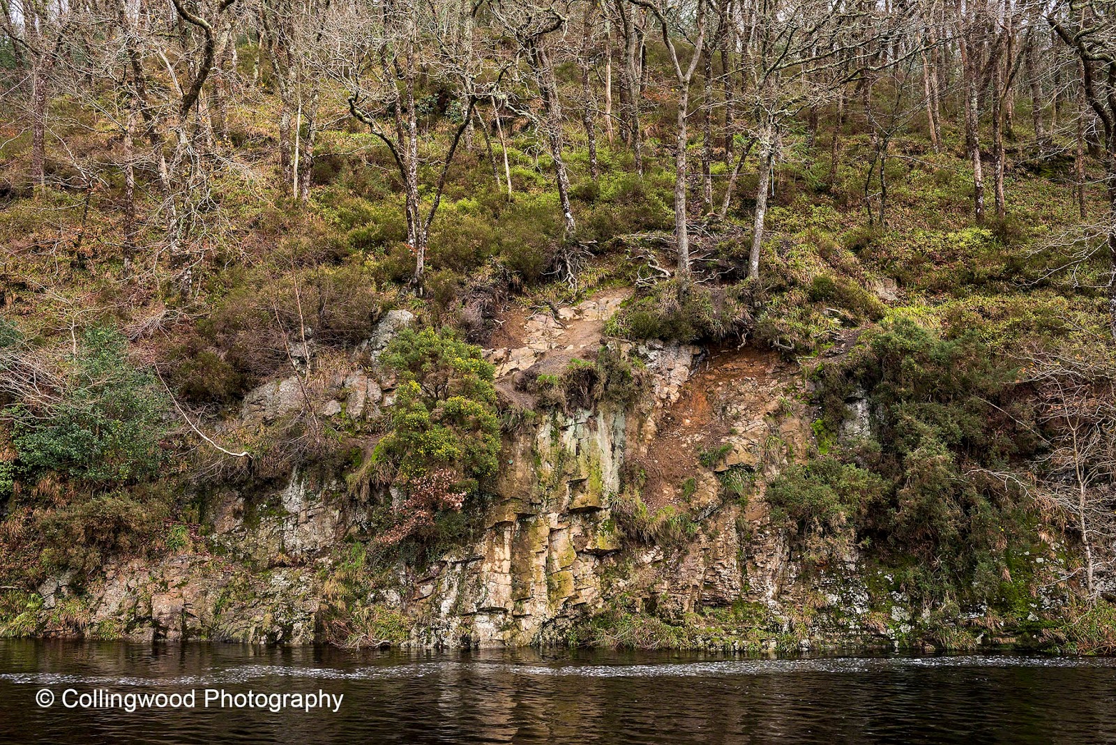 Tavicinity: Spitchwick Winter Highlights