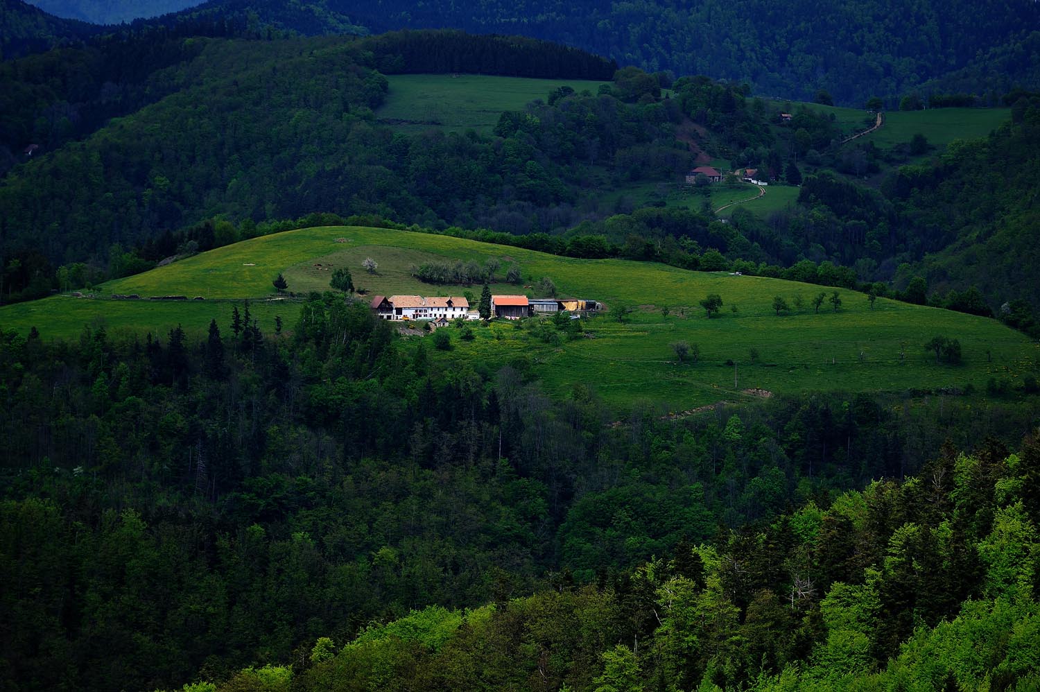 The Amazing Life: Vosges Mountain