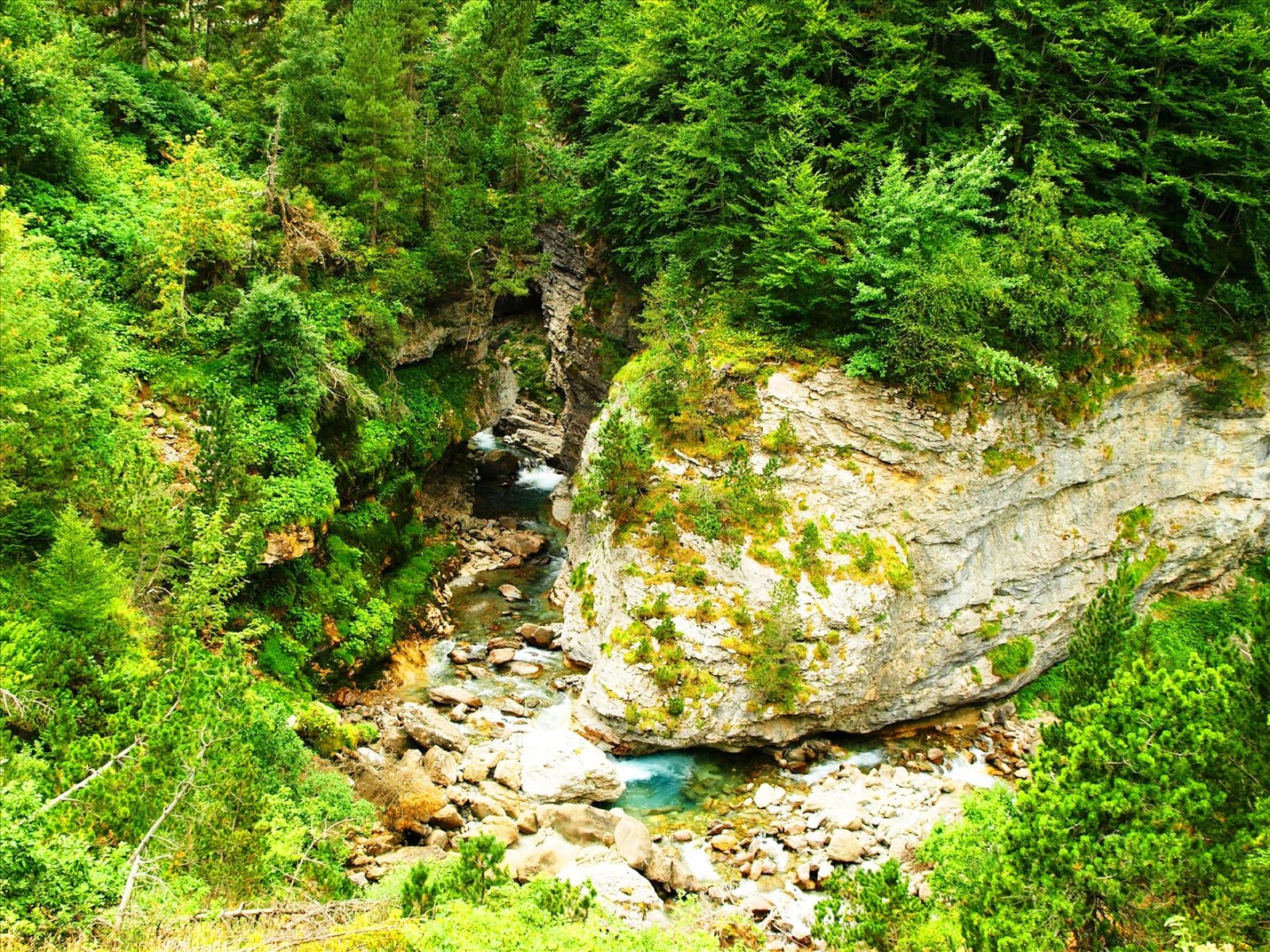Best Pyrenees Photos: Importance of Forest - Gavarnie - Pyrenees - France