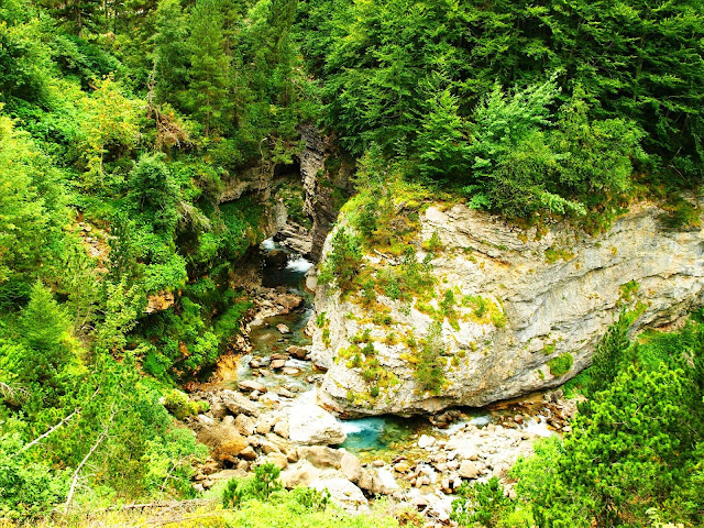 Best Pyrenees Photos: Importance of Forest - Gavarnie - Pyrenees - France