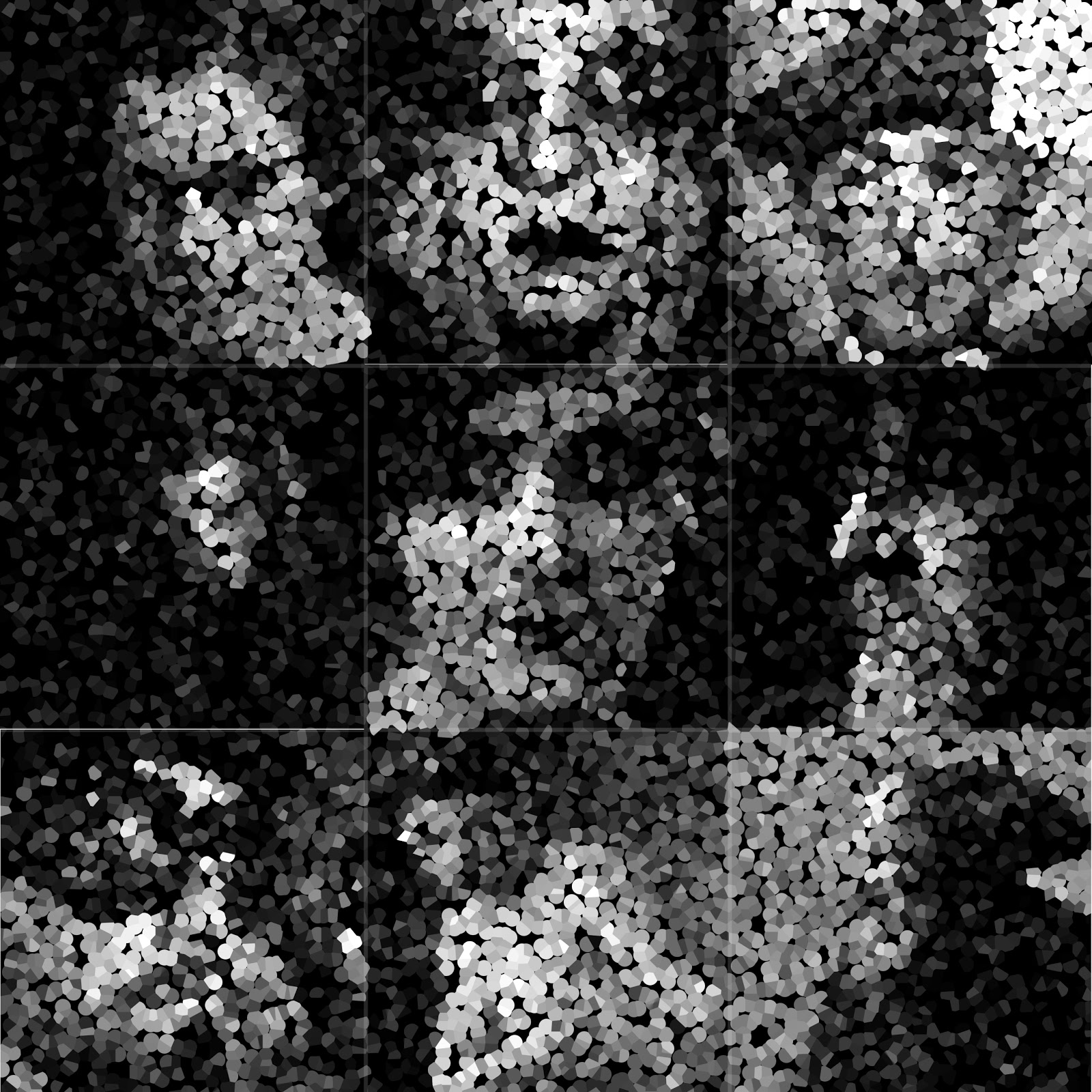 Des306- Graphic Design