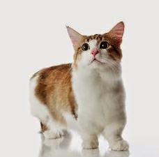 Should one follow fashion blindly? | Beauty and Personal Grooming