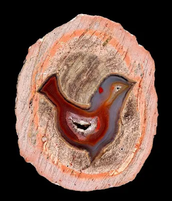 Funny Weird Agate Specimens You Should See - Geology In