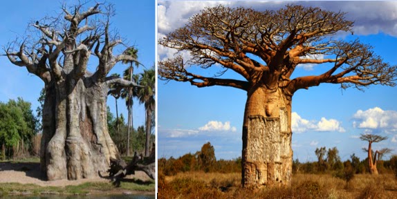 NephiCode: Jaredite Direction of Travel – Part XII – The Remarkable ...