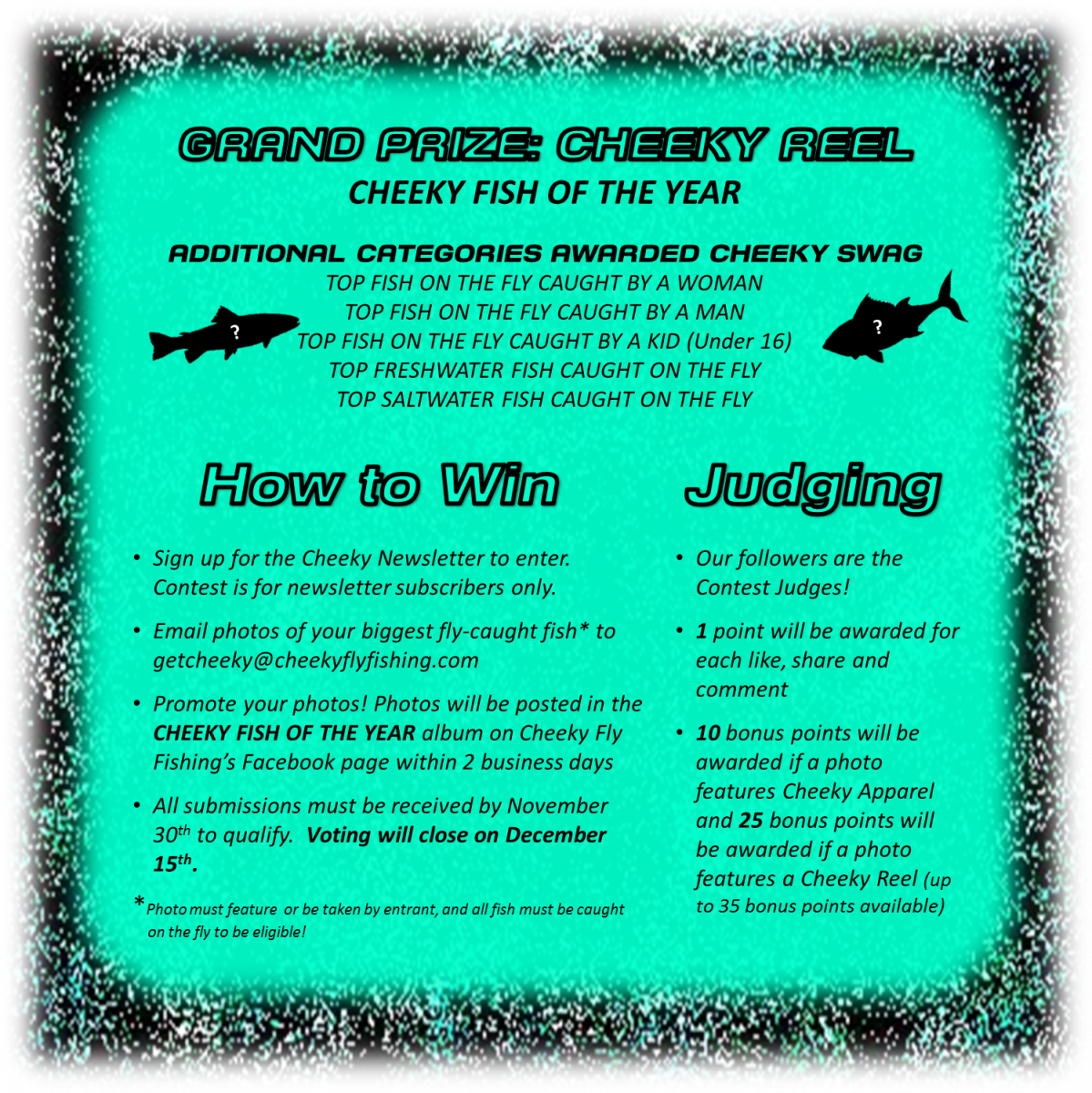 Tight Lined Tales of a Fly Fisherman: Cheeky Fly Fishing's 'Fish of the ...