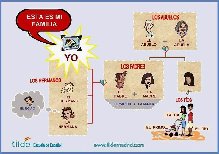 Clases de sol en Bélgica: ¿Cómo es tu familia?