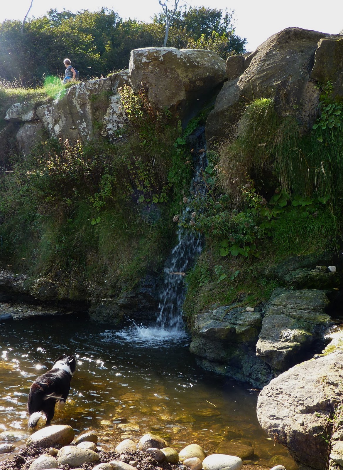 Big Gorse Bush: Ravenscar to Scalby Mills, North York Moors.
