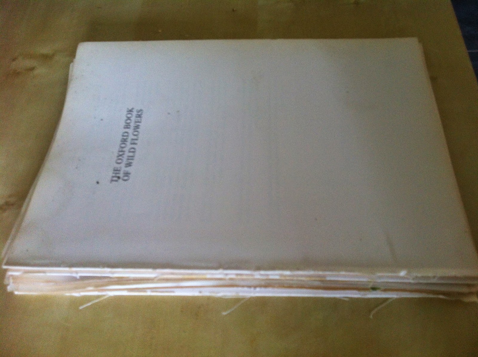 House of Newns: DIY Wallpapering with Book Pages