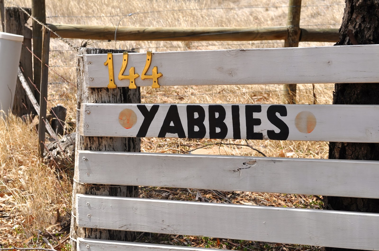 Town Mouse Country Mouse: Our Visit to the Yabby farm