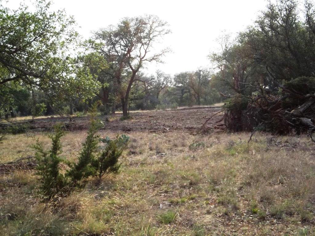 Wild Ed's Texas Outdoors: Our Place in the Texas Countryside