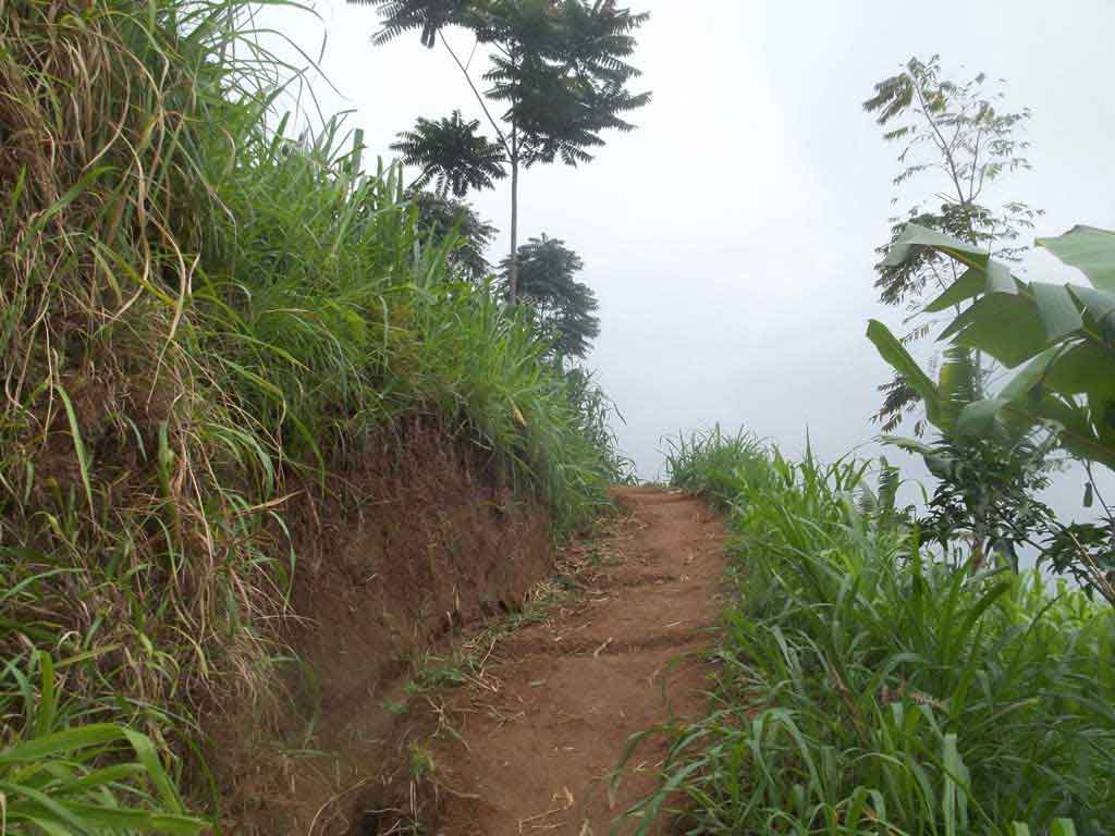 Pendakian Gunung Prahu Jalur Kenjuran Sukorejo Kendal - Santri Dan Alam
