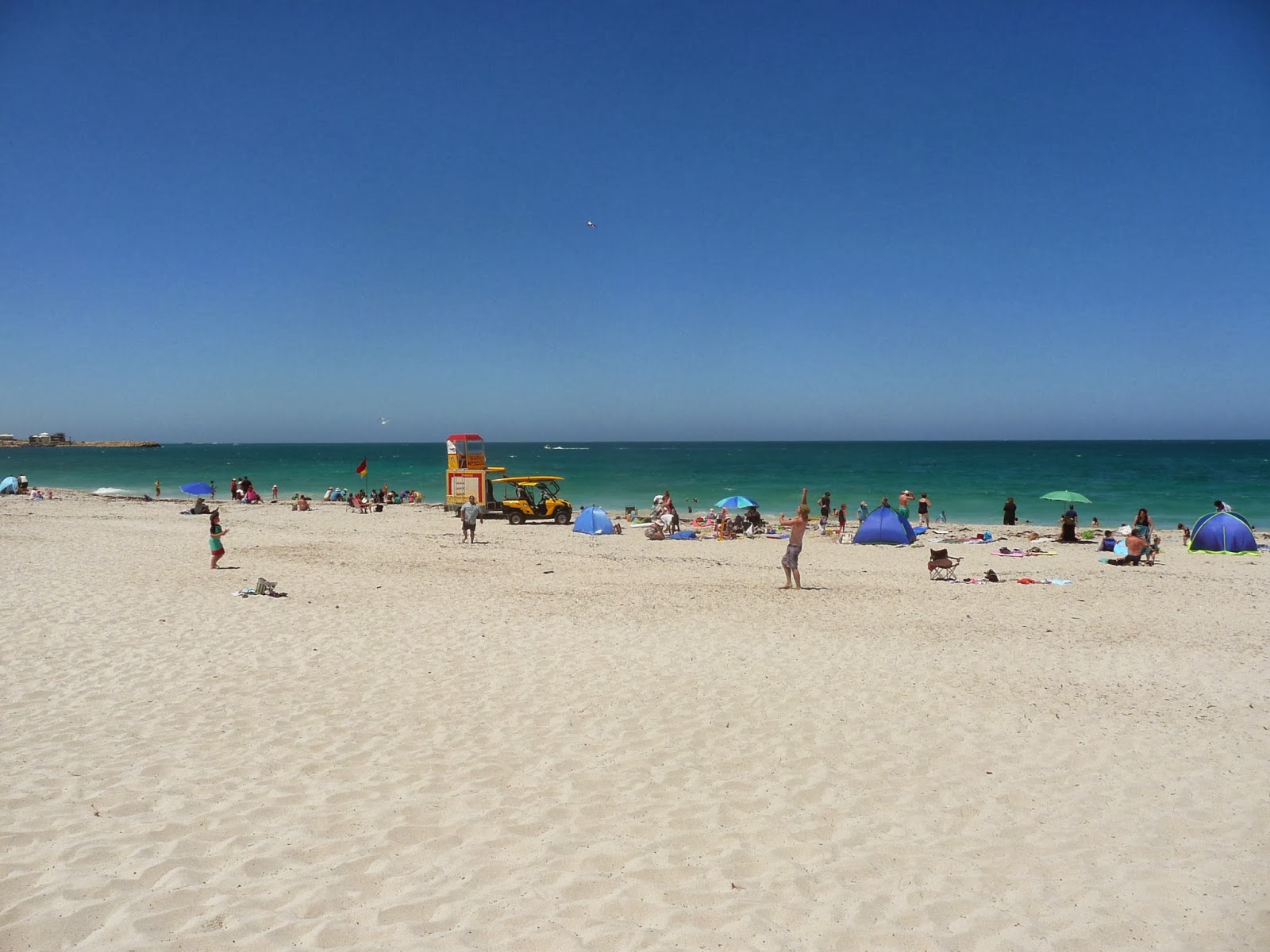 MobileMarshies: PERTH 3 - QUINNS ROCKS AND MINDARIE (JANUARY 2014)