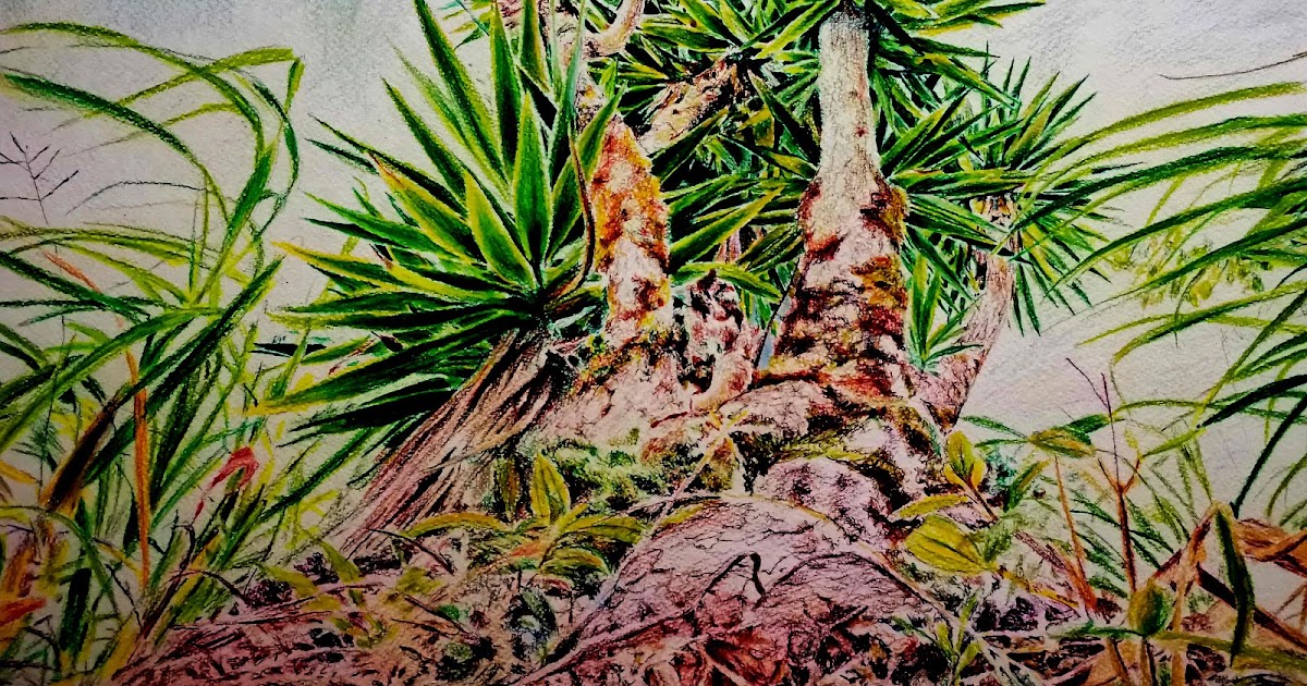 Vianey Meneses Mora - Planta de Itabo