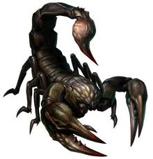 EL ERIZO ESCORPION LA TECNICA DE LA VICTORIA: LUCHA DE PRECISION