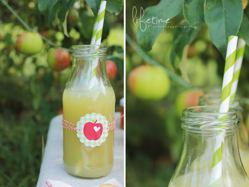 lifetime: Apfelmus & Apfel-Minz-Limo +Frage