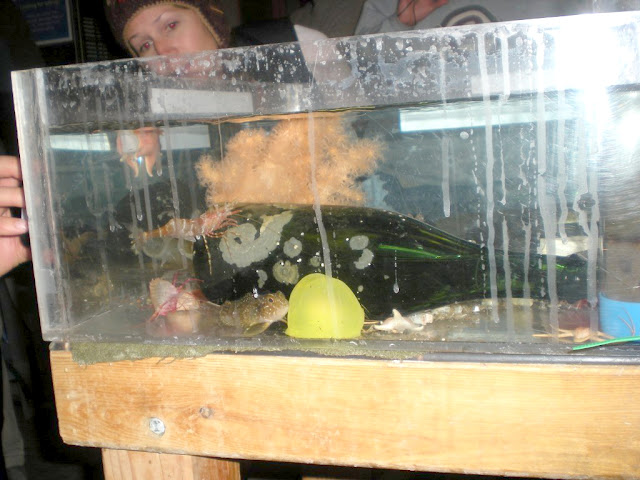 To Antarctica: A visit to Crary Lab